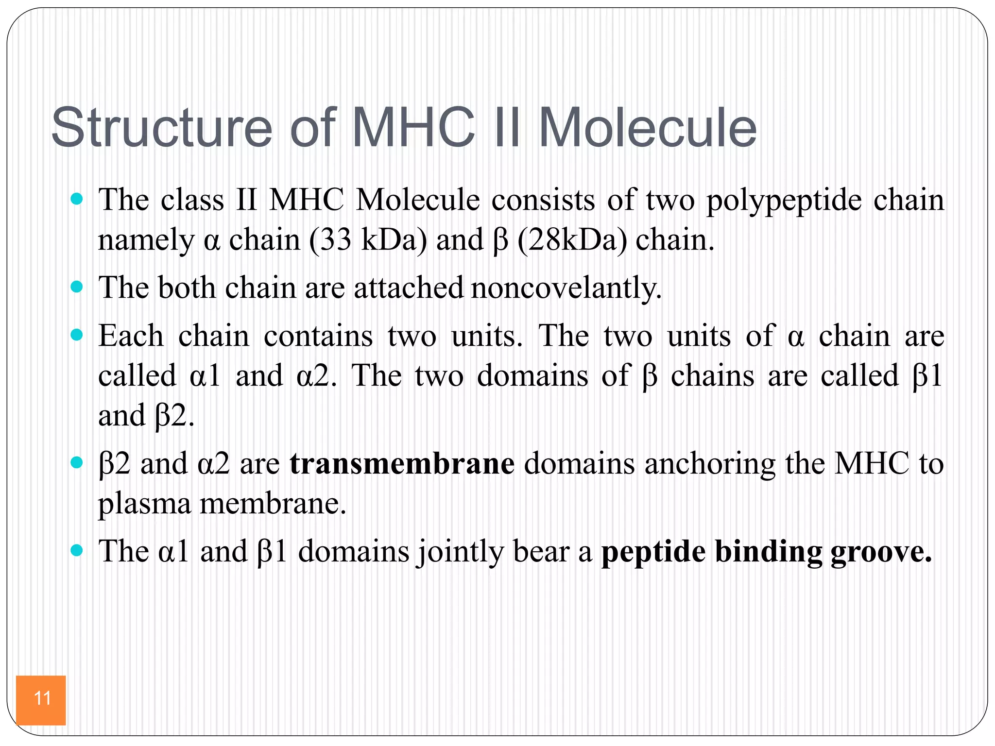 MHC- Major Histocompactibility complex -Definition, classification ...