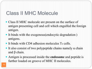 MHC- Major Histocompactibility complex -Definition, classification ...