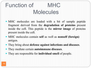 MHC- Major Histocompactibility complex -Definition, classification, structure and functions of ...