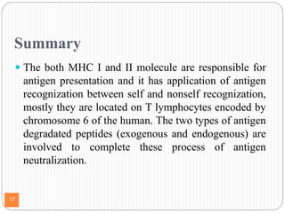 MHC- Major Histocompactibility complex -Definition, classification ...