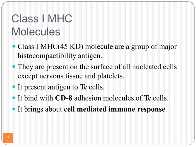 Mhc Major Histocompactibility Complex Definition Classification