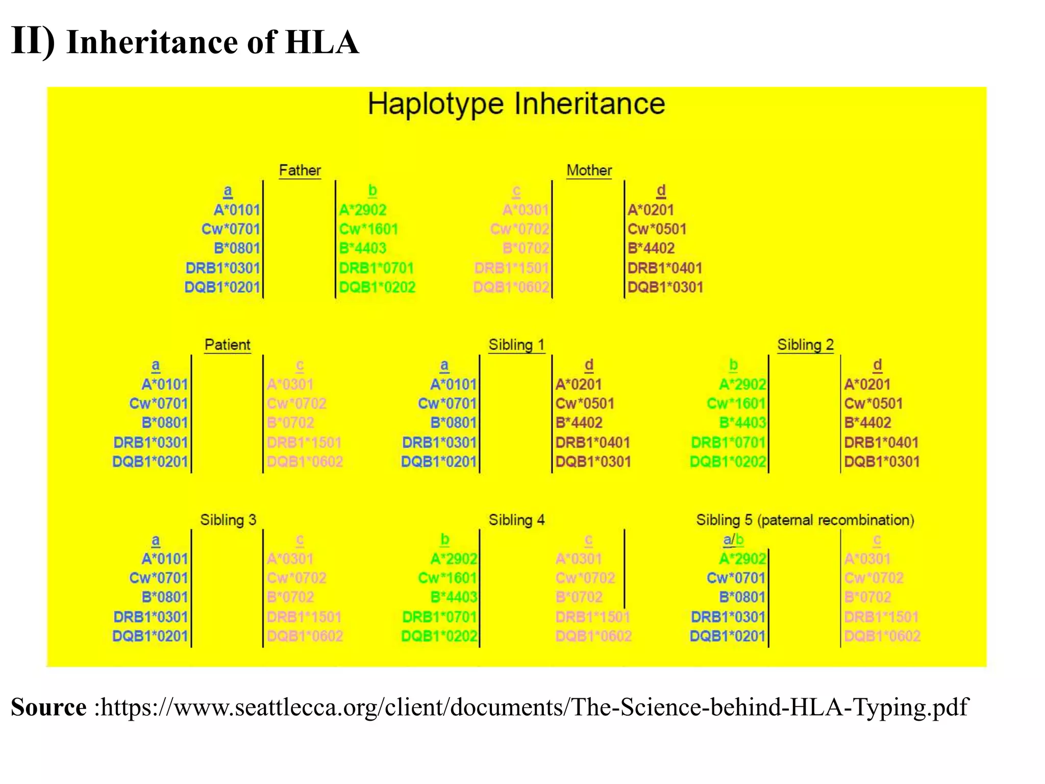 MHC Haplotypes | PPTX