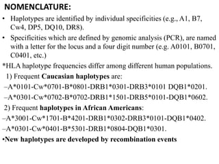 MHC Haplotypes | PPTX