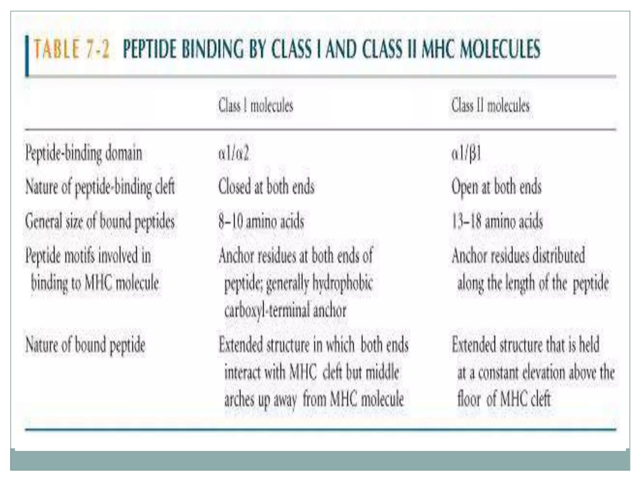 Mhc Major Histocompatibility Complex Pptx Genetics Science
