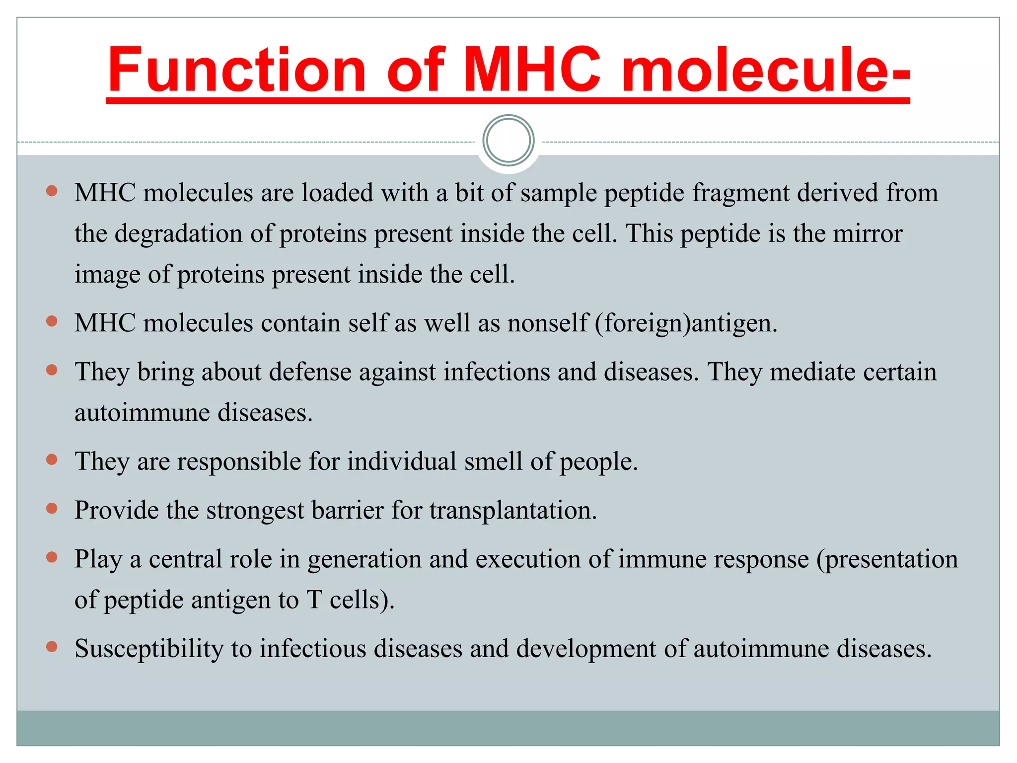 Mhc Major Histocompatibility Complex Pptx Genetics Science