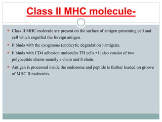 MHC major histocompatibility complex | PPTX