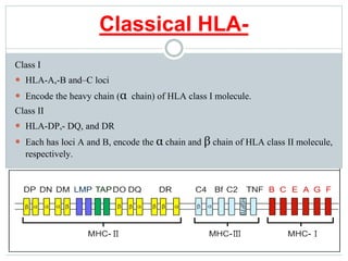 MHC major histocompatibility complex | PPTX