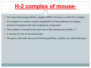 MHC major histocompatibility complex | PPTX