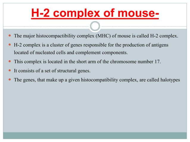 MHC major histocompatibility complex | PPTX | Genetics | Science