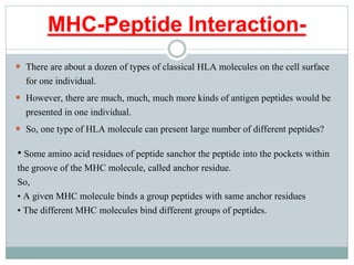 MHC major histocompatibility complex | PPTX