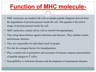 MHC major histocompatibility complex | PPTX