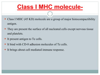 MHC major histocompatibility complex | PPTX