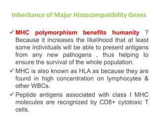 MHC.pptx