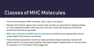 Antigen Presentation Pathways.pptx