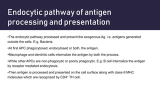Antigen Presentation Pathways.pptx | Chemistry | Science