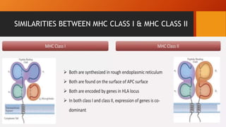 MHC.pptx