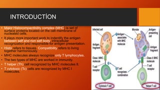 MHC.pptx | Genetics | Science