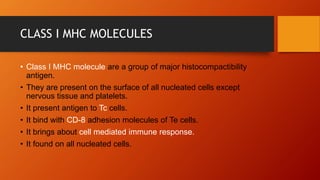 MHC.pptx | Genetics | Science
