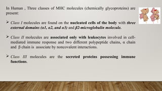 MHC MOLECULE : MAJOR HISTOCOMPATABILTY COMPLEX | PPTX