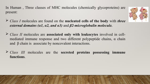 MHC MOLECULE : MAJOR HISTOCOMPATABILTY COMPLEX | PPT