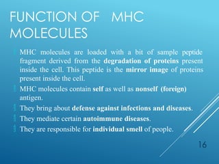 MHC.pptx its structure types and functions | PPTX