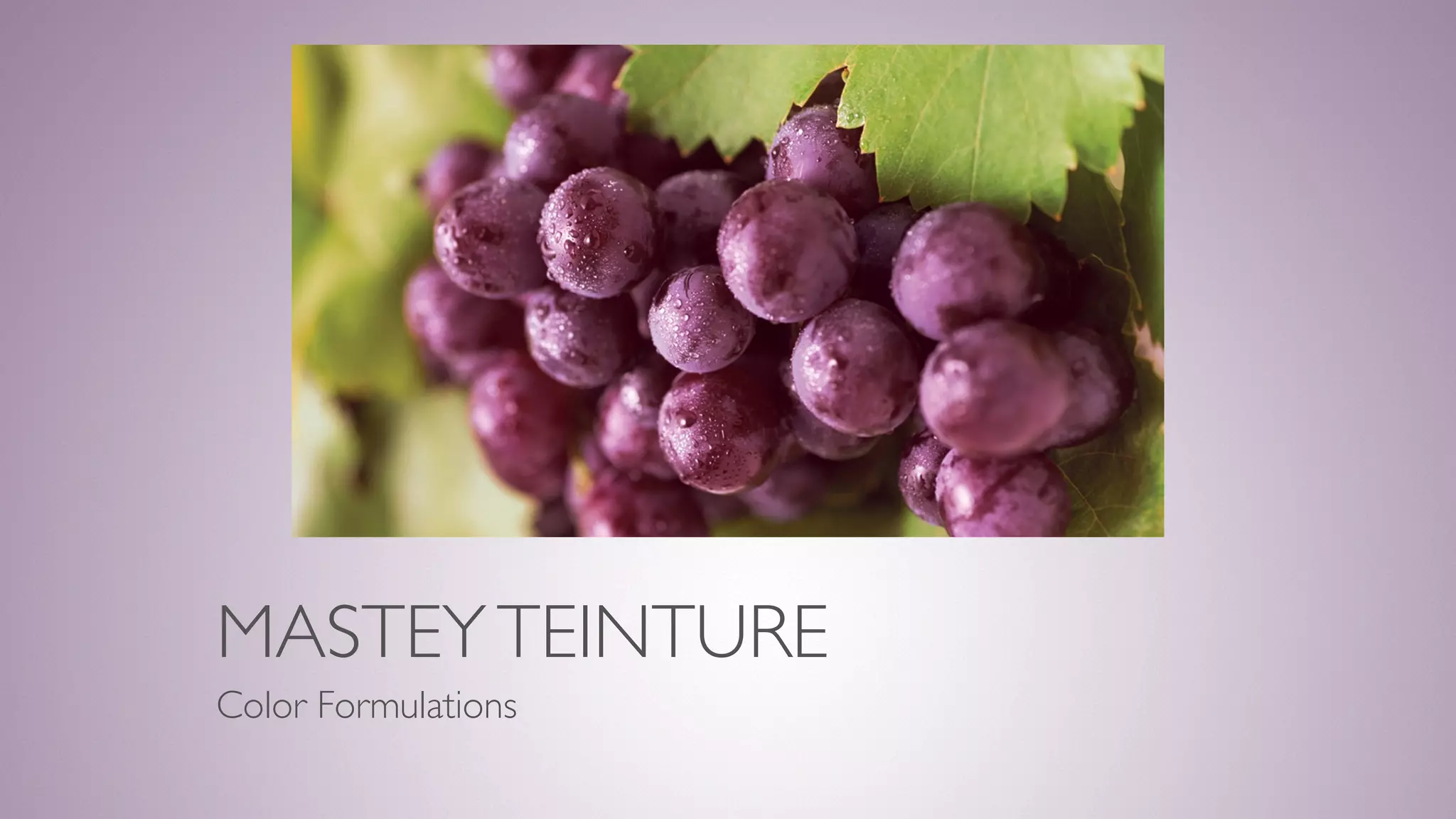 Mastey Hair Color Certification - Advanced Formulations | PDF