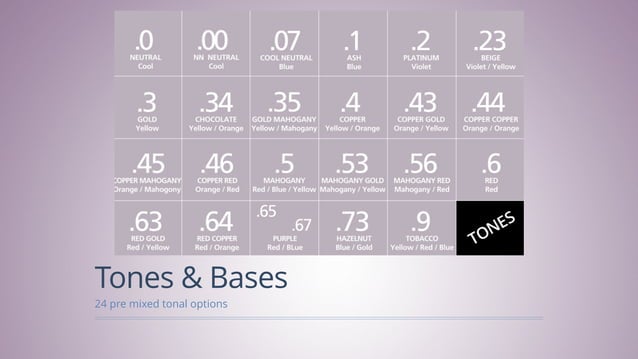 Mastey Hair Color Certification - Advanced Formulations | PDF