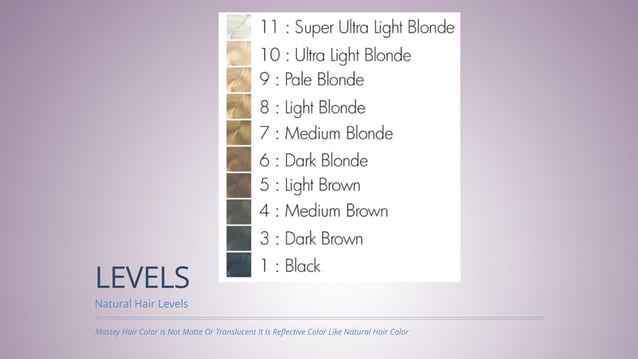 Mastey Hair Color Certification - Advanced Formulations | PDF