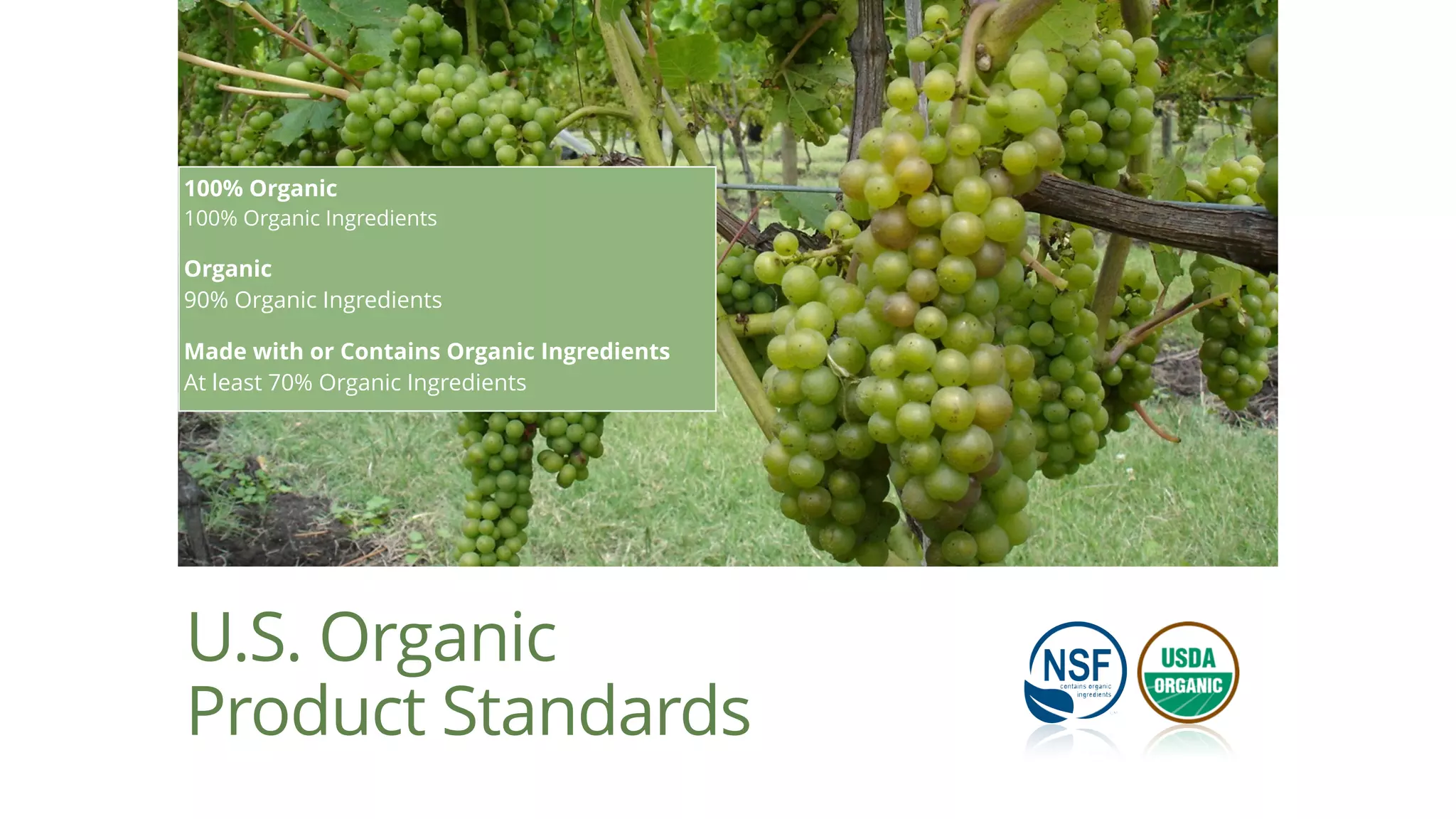 Mastey Hair Color Certification - No Ammonia No PPD Hair Color ...