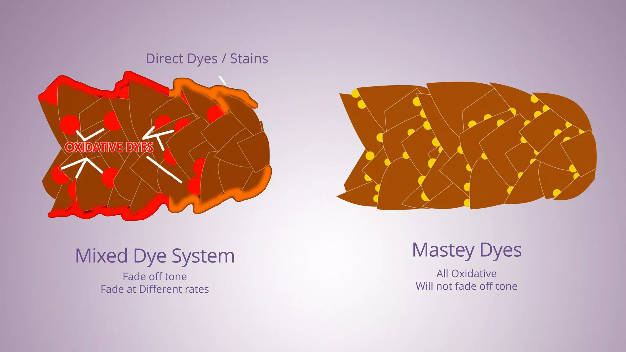 Mastey Hair Color Certification - No Ammonia No PPD Hair Color ...