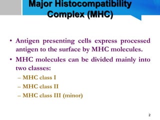 MHC-Class.ppt