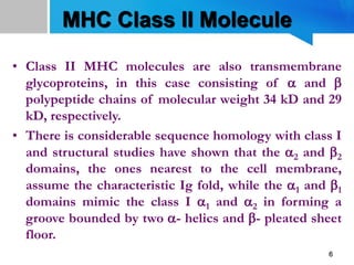MHC-Class.ppt