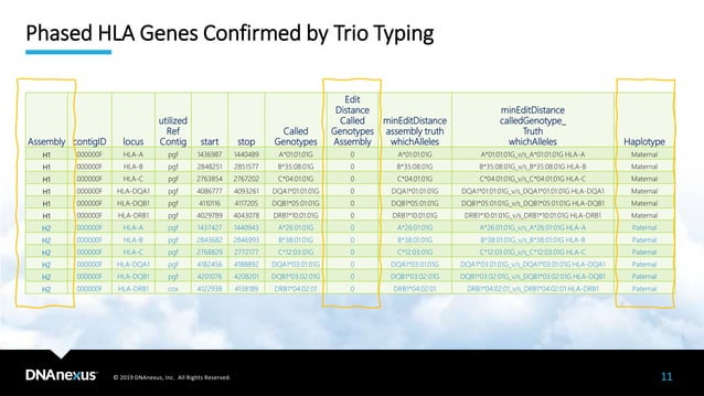 Jason Chin MHC diploid assembly | PPT