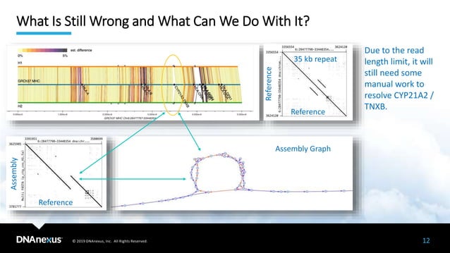 Jason Chin MHC diploid assembly | PPT