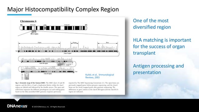 Jason Chin MHC diploid assembly | PPT