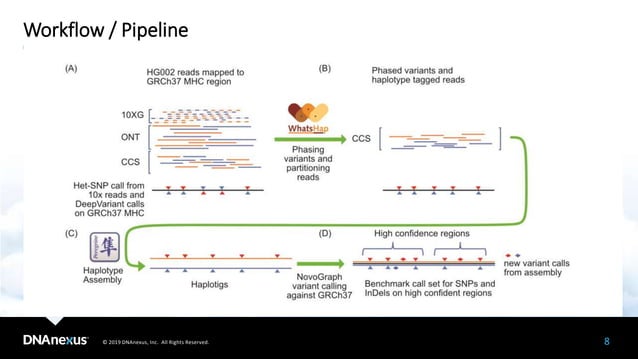 Jason Chin MHC diploid assembly | PPT