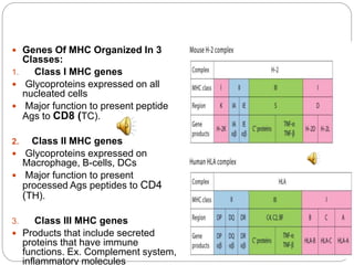 مناعة نظري mhc - lec 7.pptx