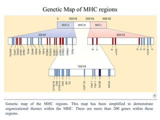 MHC--M.Sc--III sem--07.07.20.pptx