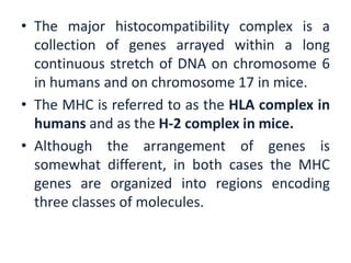 MHC--M.Sc--III sem--07.07.20.pptx