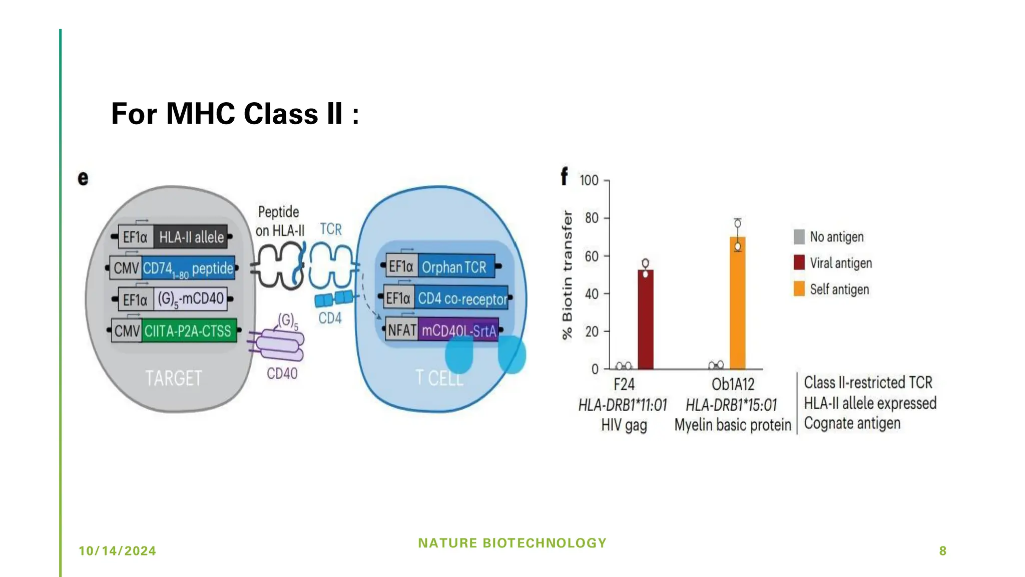 High-throughput Discovery of MHC Class I- and II-restricted T Cell ...