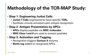 High-throughput Discovery of MHC Class I- and II-restricted T Cell ...