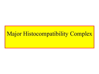 Major Histocompatibility complex12345678 | PPT