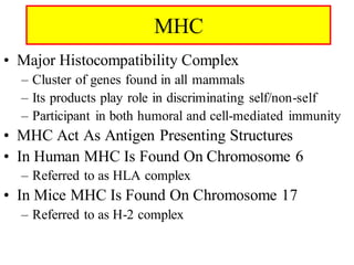 Major Histocompatibility complex12345678 | PPT