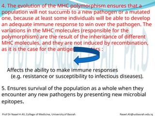 MHC 22.ppt MHC and antigen presentationntation | PPT
