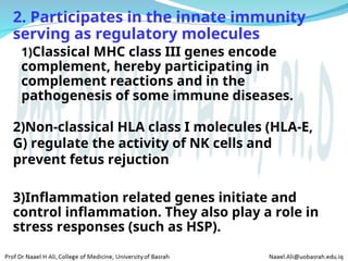 MHC 22.ppt MHC and antigen presentationntation | PPT