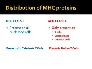 MHC and Antigen presentation | PPTX