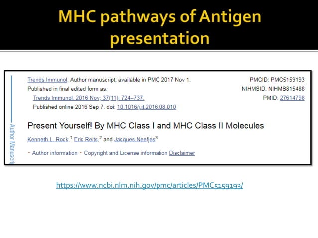 MHC and Antigen presentation | PPTX | Genetics | Science