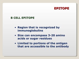 Mhc And Antigens | PPT