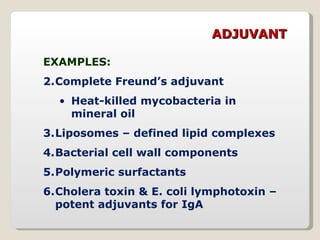 Mhc And Antigens | PPT