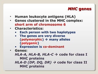 Mhc And Antigens | PPT